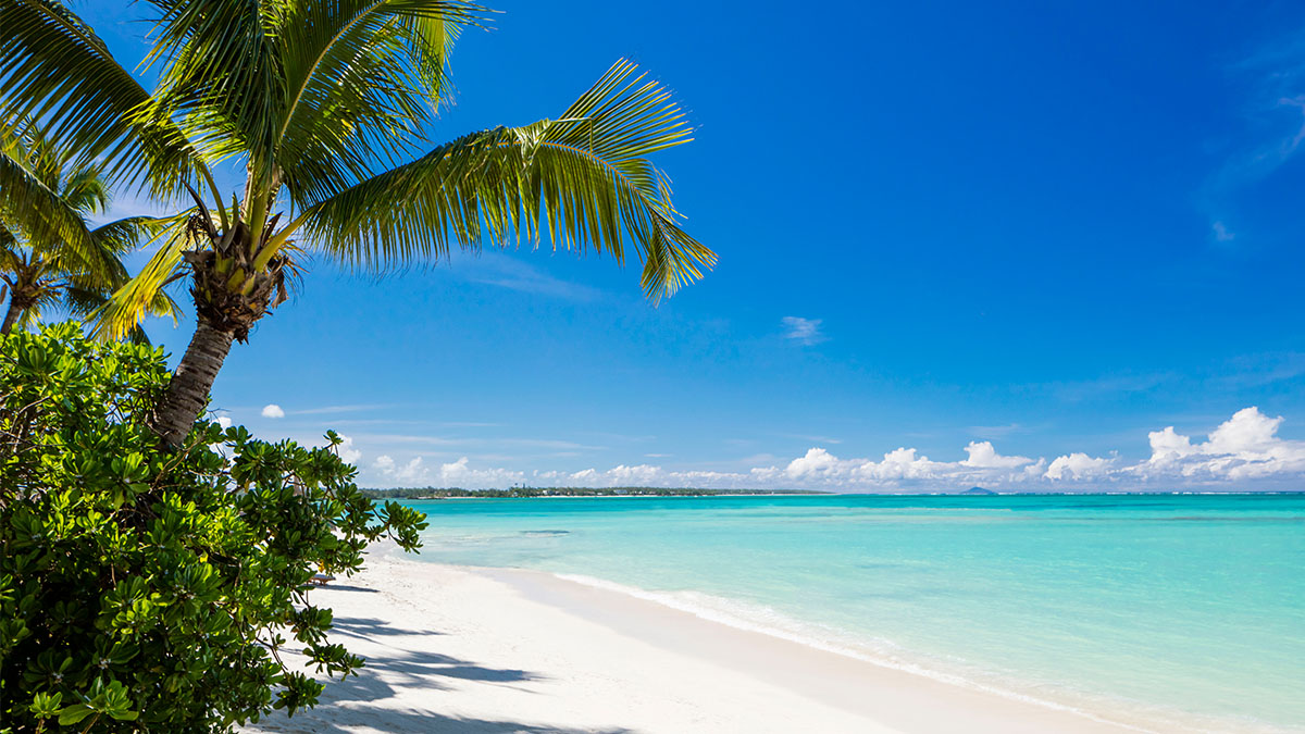 Kontakt - BECH Travel